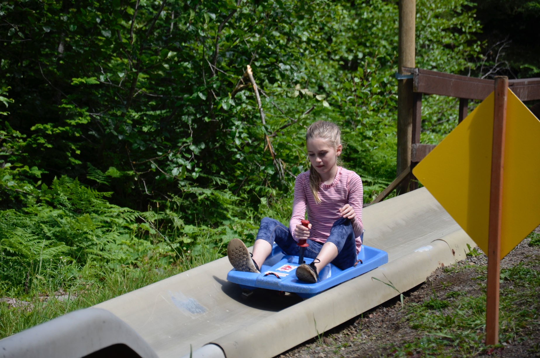 TAS 2109 2410 – TAS Ski Team